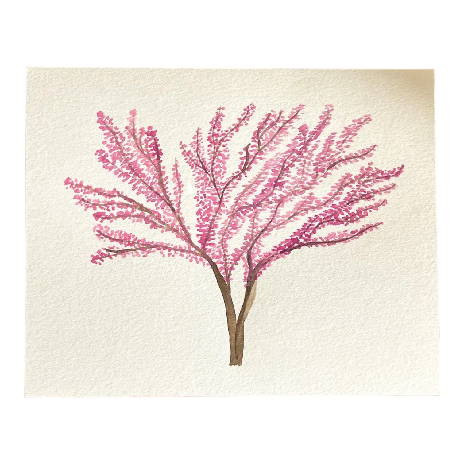 Art Print - 8x10 - Redbud Tree (Watercolor) - PLENTY Mercantile & Event ...