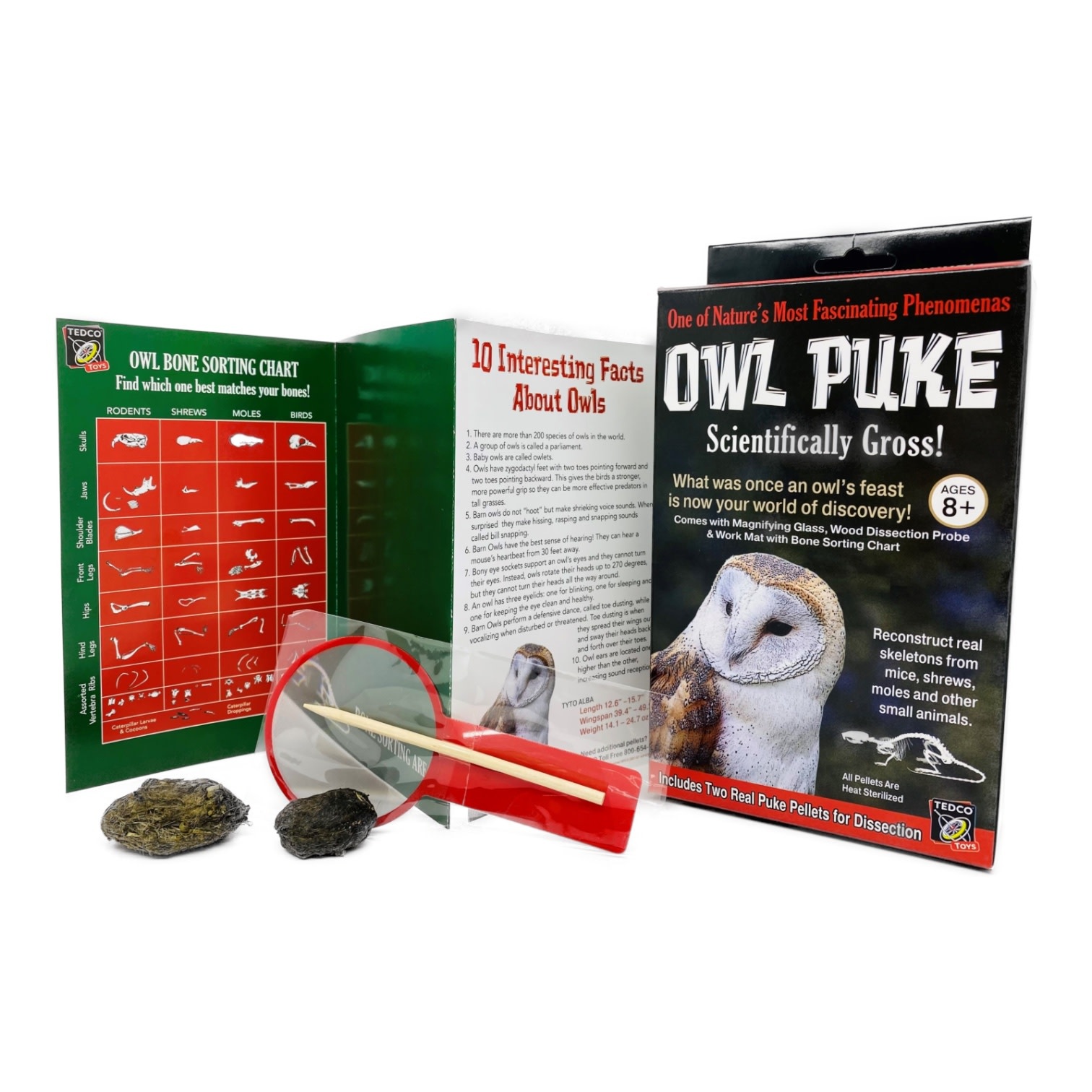 Kit - Owl Puke - PLENTY Mercantile & Event Venue