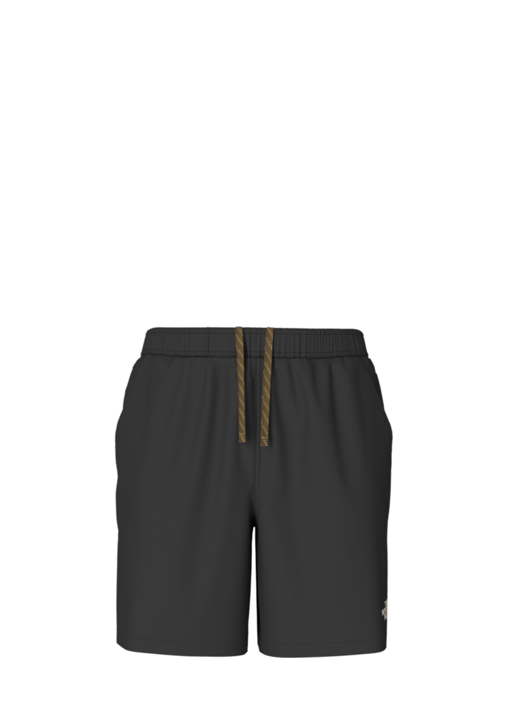 The North Face Men's Class V Pathfinder Short - Regular - Pathfinder of WV