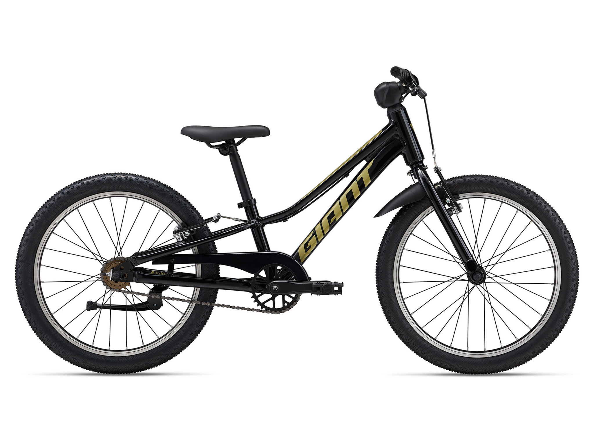 Giant Talon 20 Single Speed - Pathfinder of WV
