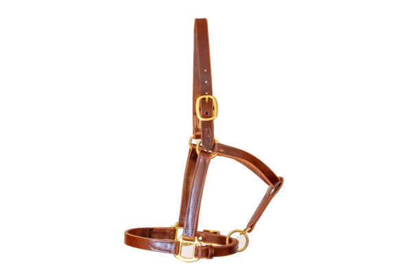 Quillin Leather - Quillin Leather & Tack, Inc