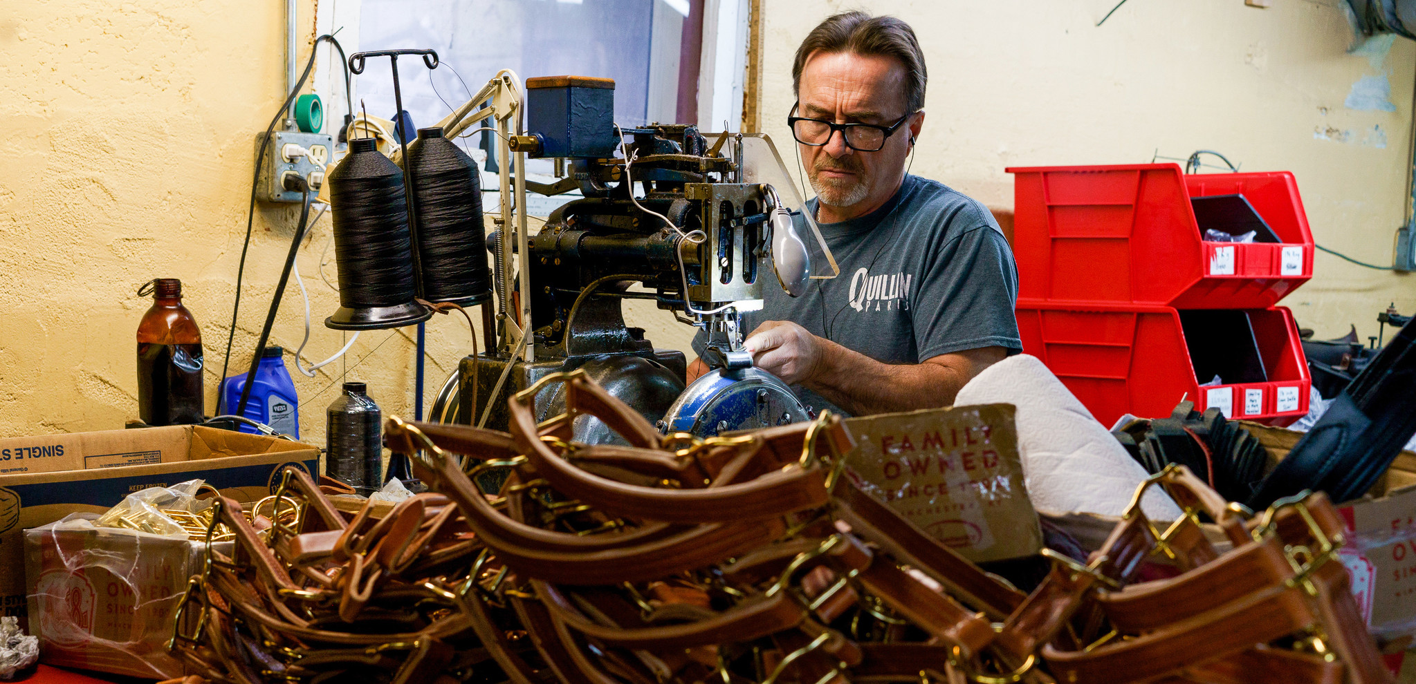 Blog - Did You Know - Custom Leather Horse Halters & Tack | Quillin ...
