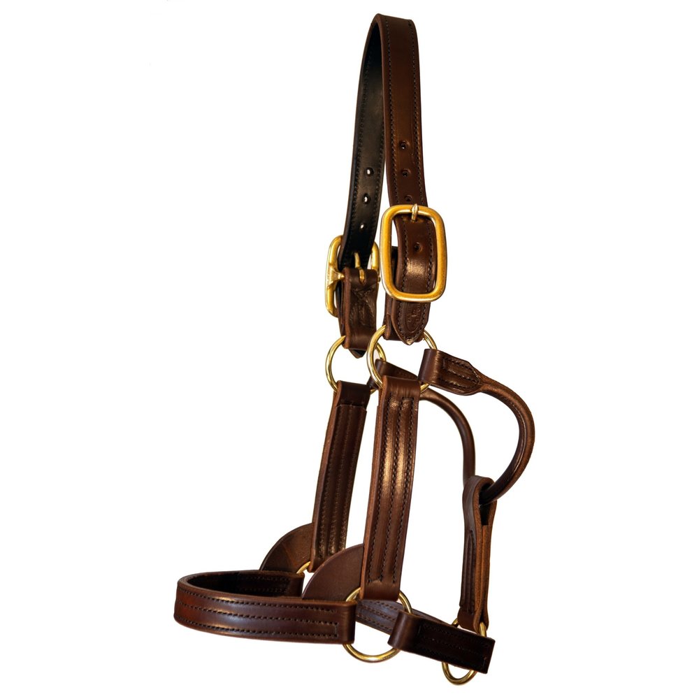 Leather Halter Stallion Sale - Custom Leather Horse Halters & Tack ...