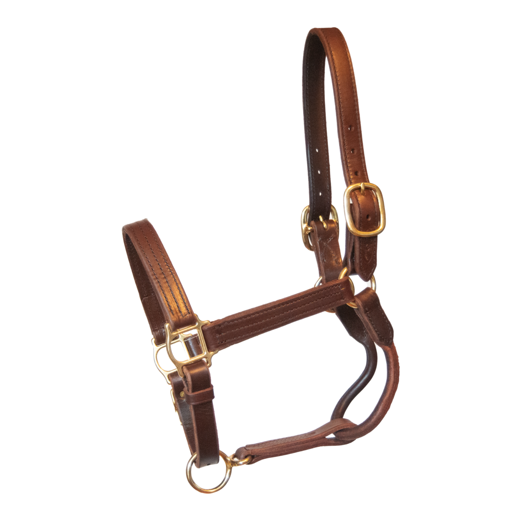 Old Friends Sale Halter - Custom Leather Horse Halters & Tack | Quillin ...