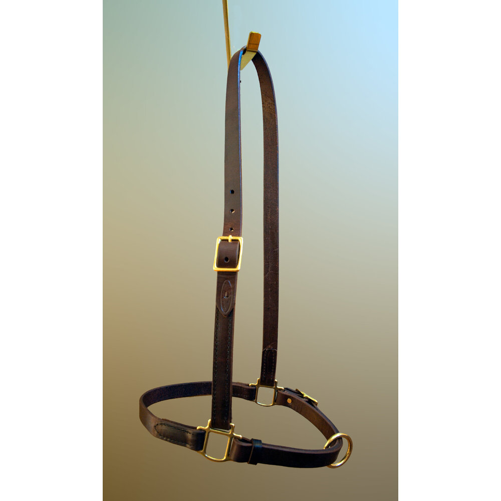 Halter Grooming - Large - Custom Leather Horse Halters & Tack | Quillin ...