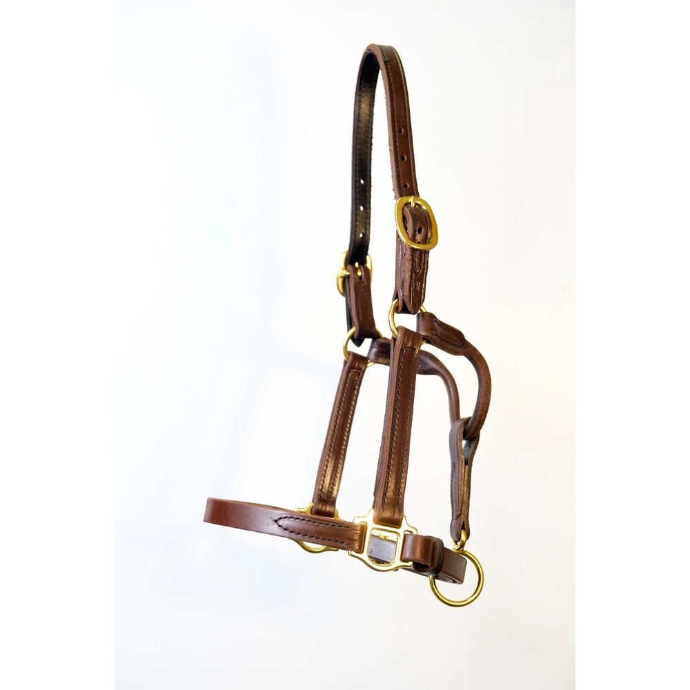 Classic Plain Nose Sale Halter - Quillin Leather & Tack, Inc