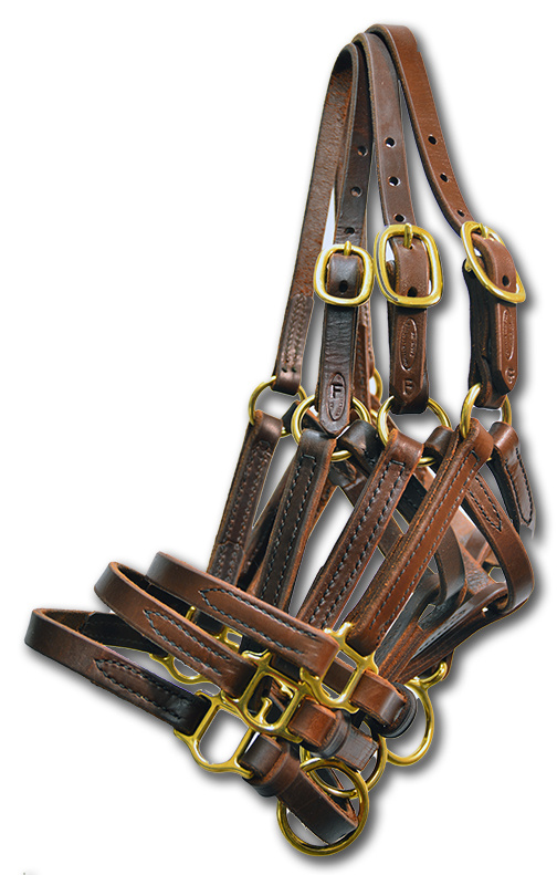 Halter Quillin Turnout - Custom Leather Horse Halters & Tack | Quillin ...
