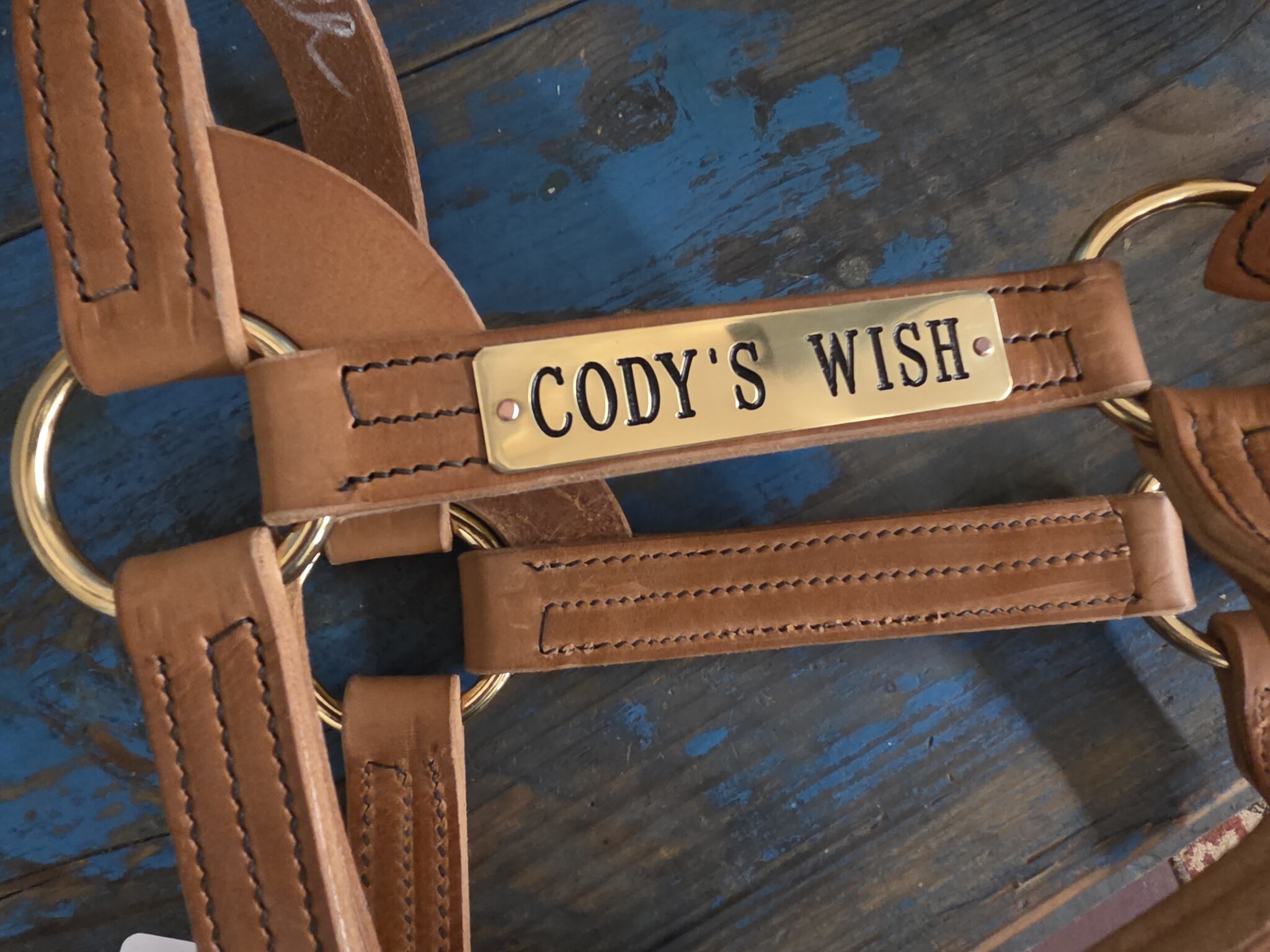 Blog - Cody's Wish - Custom Leather Horse Halters & Tack | Quillin ...