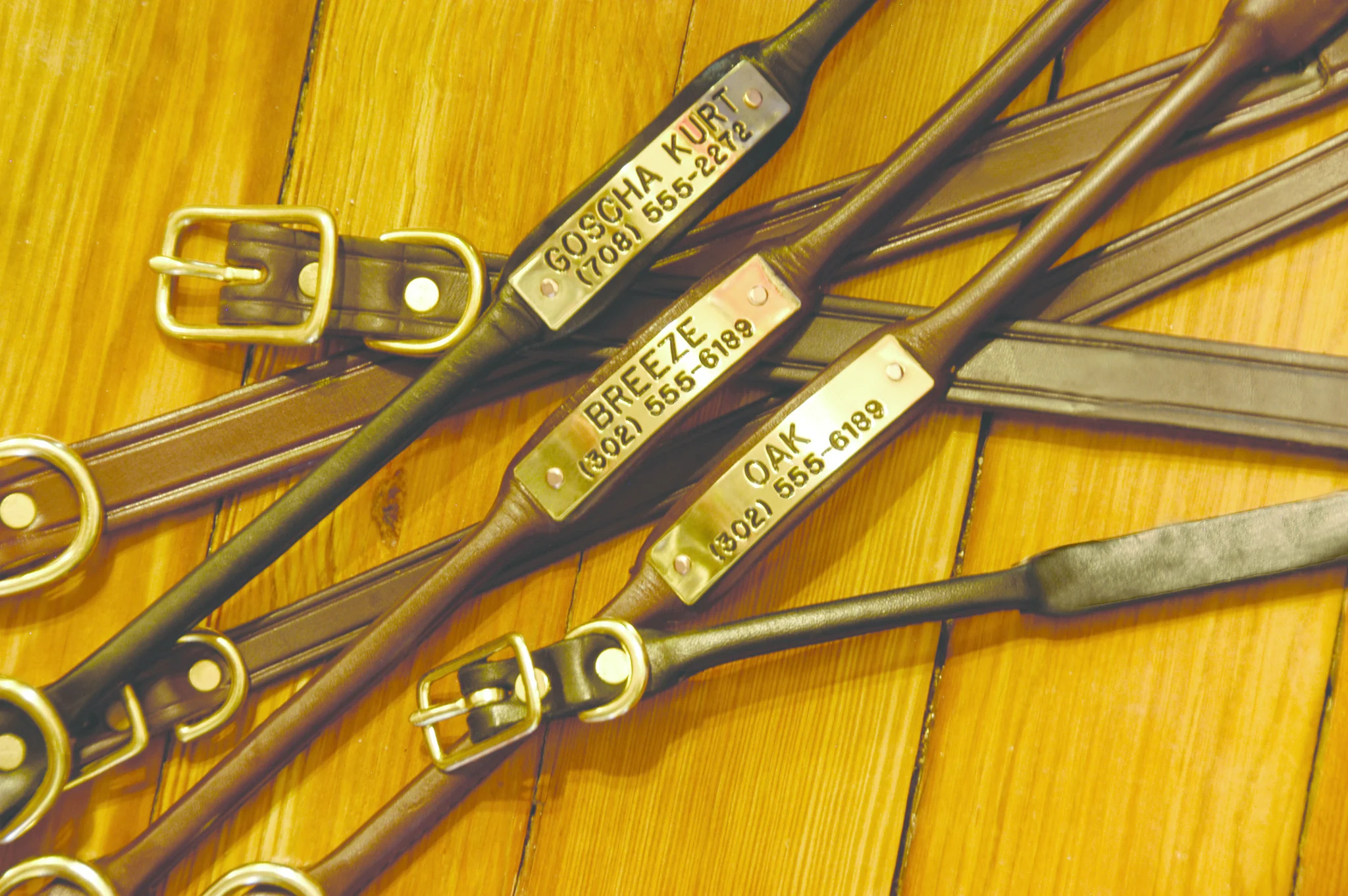 Quillin Dog Leather Dog COllars and Leashes - Custom Leather Horse ...