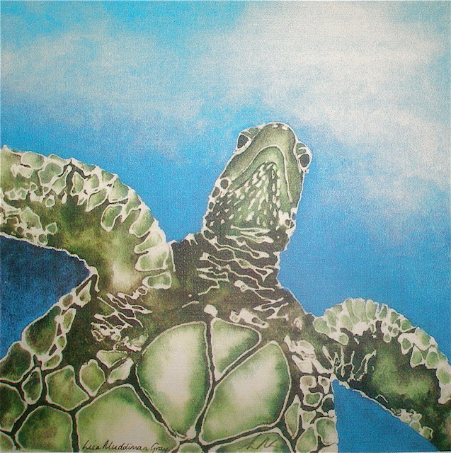 Art Print - Lisa Muddiman Gray "Green Sea Turtle" Matted Med 10" x 10 ...