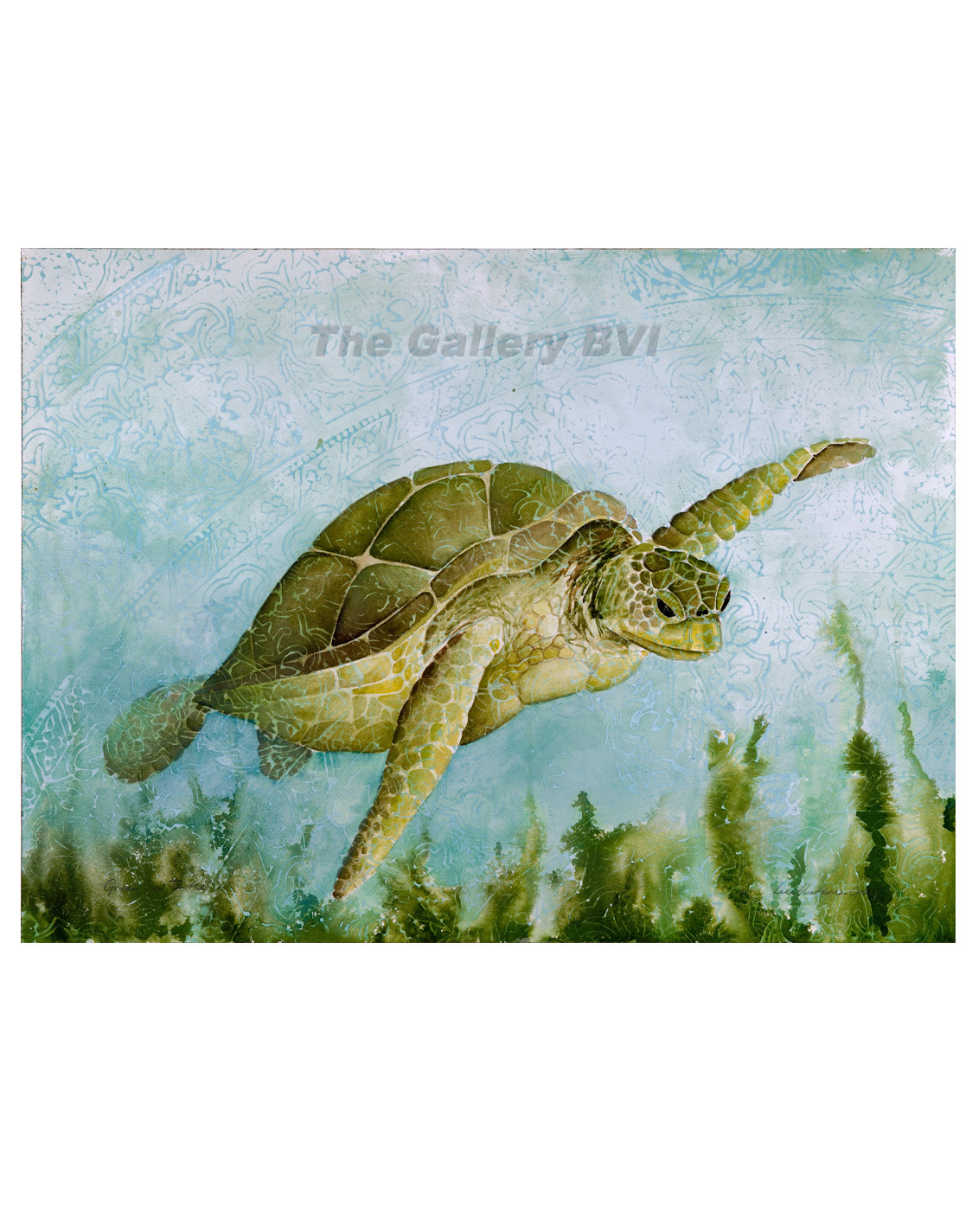 Art Print - Lisa Muddiman Gray "Gliding Turtle" Litho 24" x 18 ...