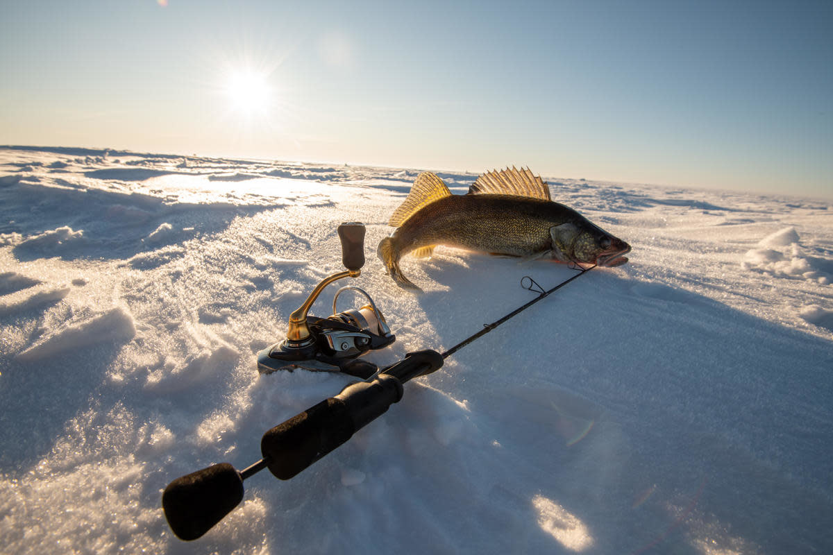 St. Croix Mojo Ice Rod - Tackle Shack