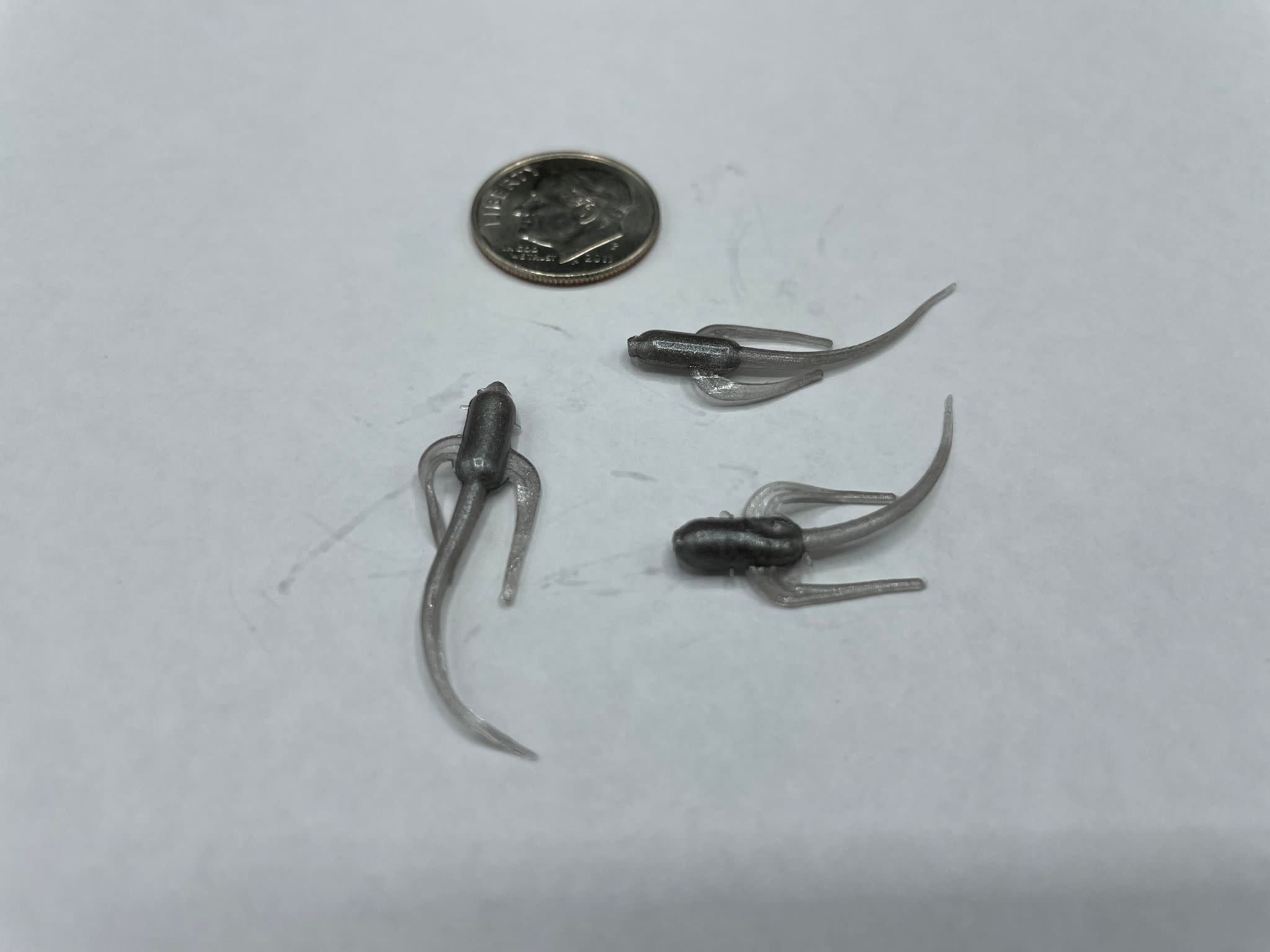 B-Y Baits Waterbug - Tackle Shack