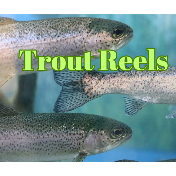 Tackle Shack - Trout Season Essentials - Tackle Shack