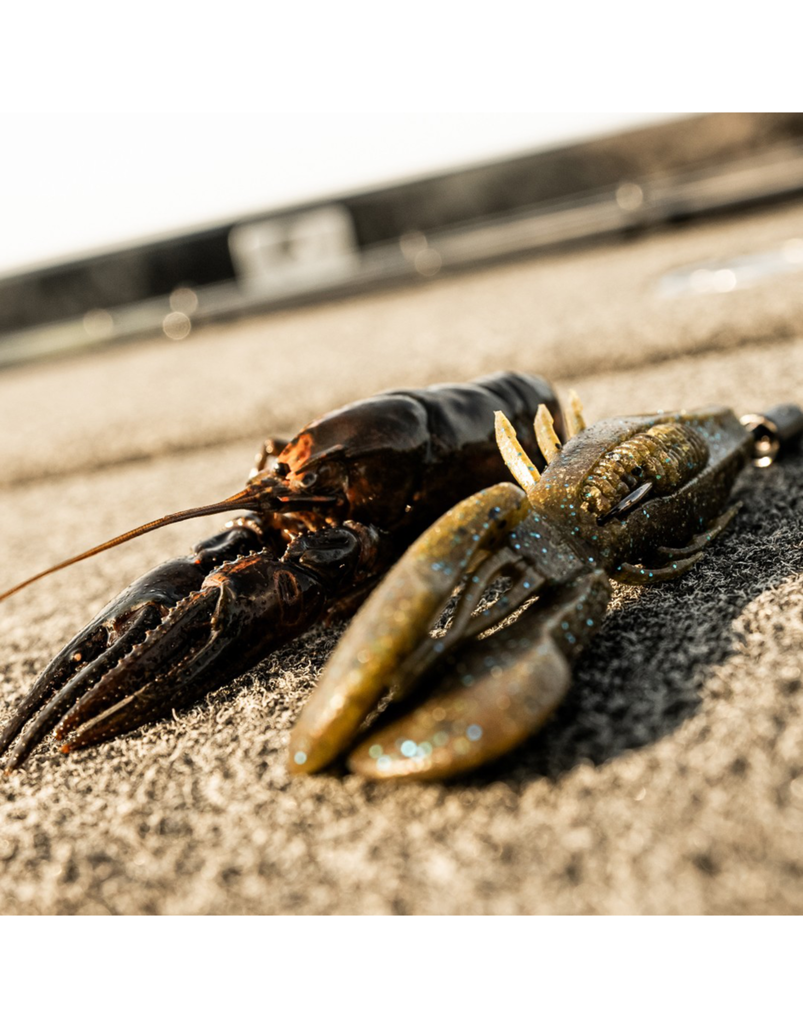 Rapala Crush City Bronco Bug - Tackle Shack