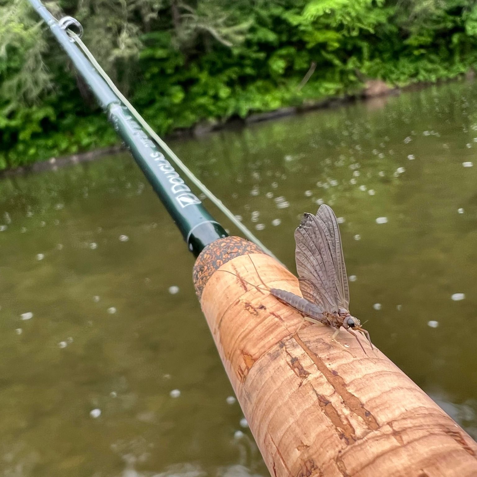 Upper Pine Creek Fly Fishing & Hatch Report - Tackle Shack