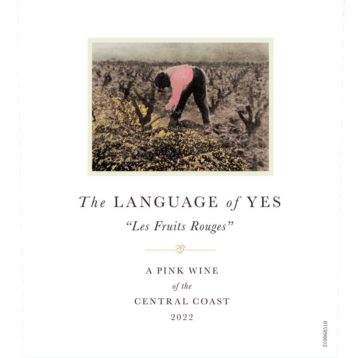 The Language of Yes "Les Fruits Rouges" 2022 - Vintage Wine Cellars