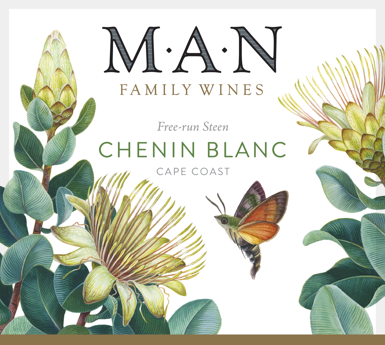 MAN Family Wines Free-Run Steen Chenin Blanc 2024| 750ml - Vintage Wine ...