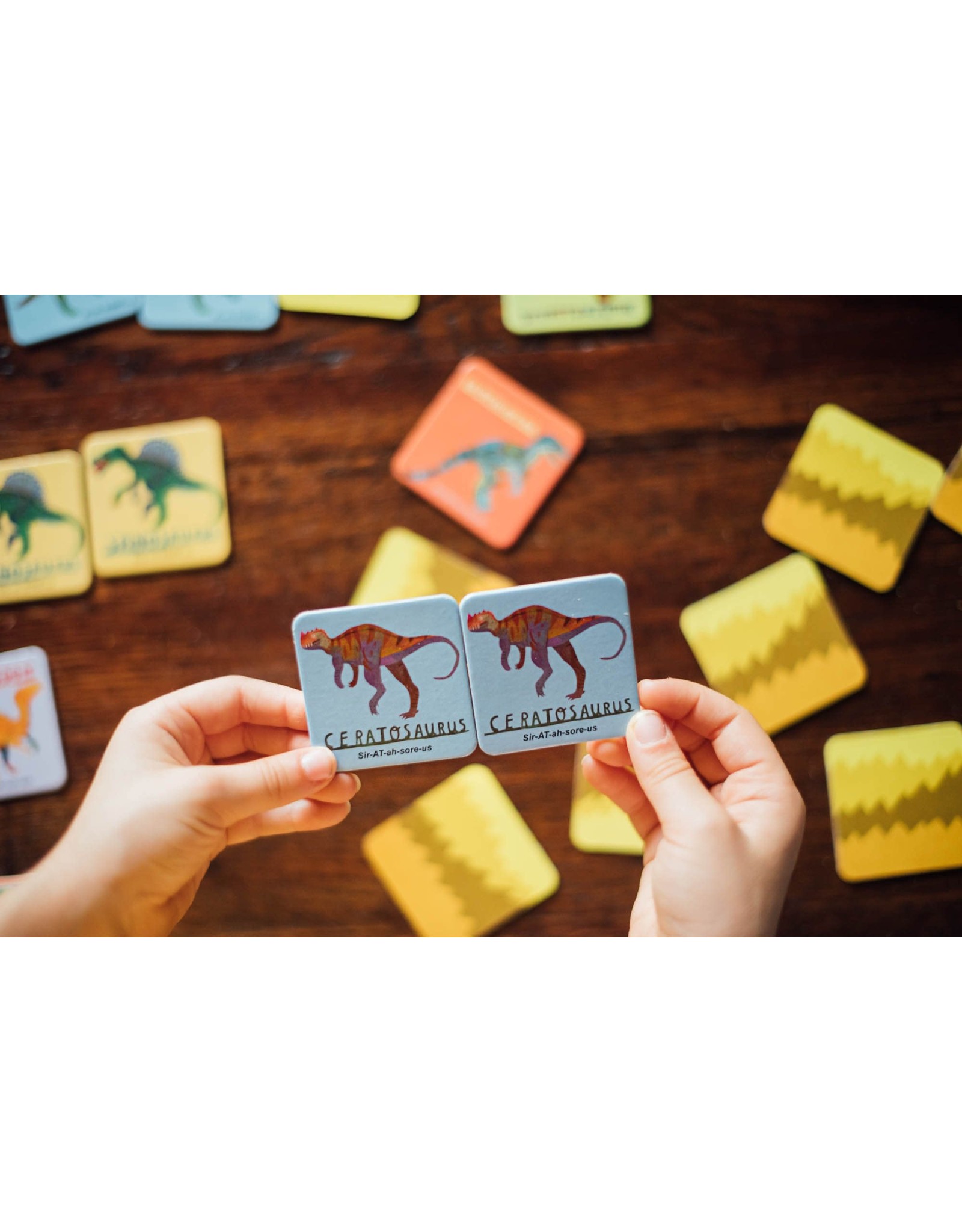 Dinosaurs Memory and Matching Game - Owls Hollow