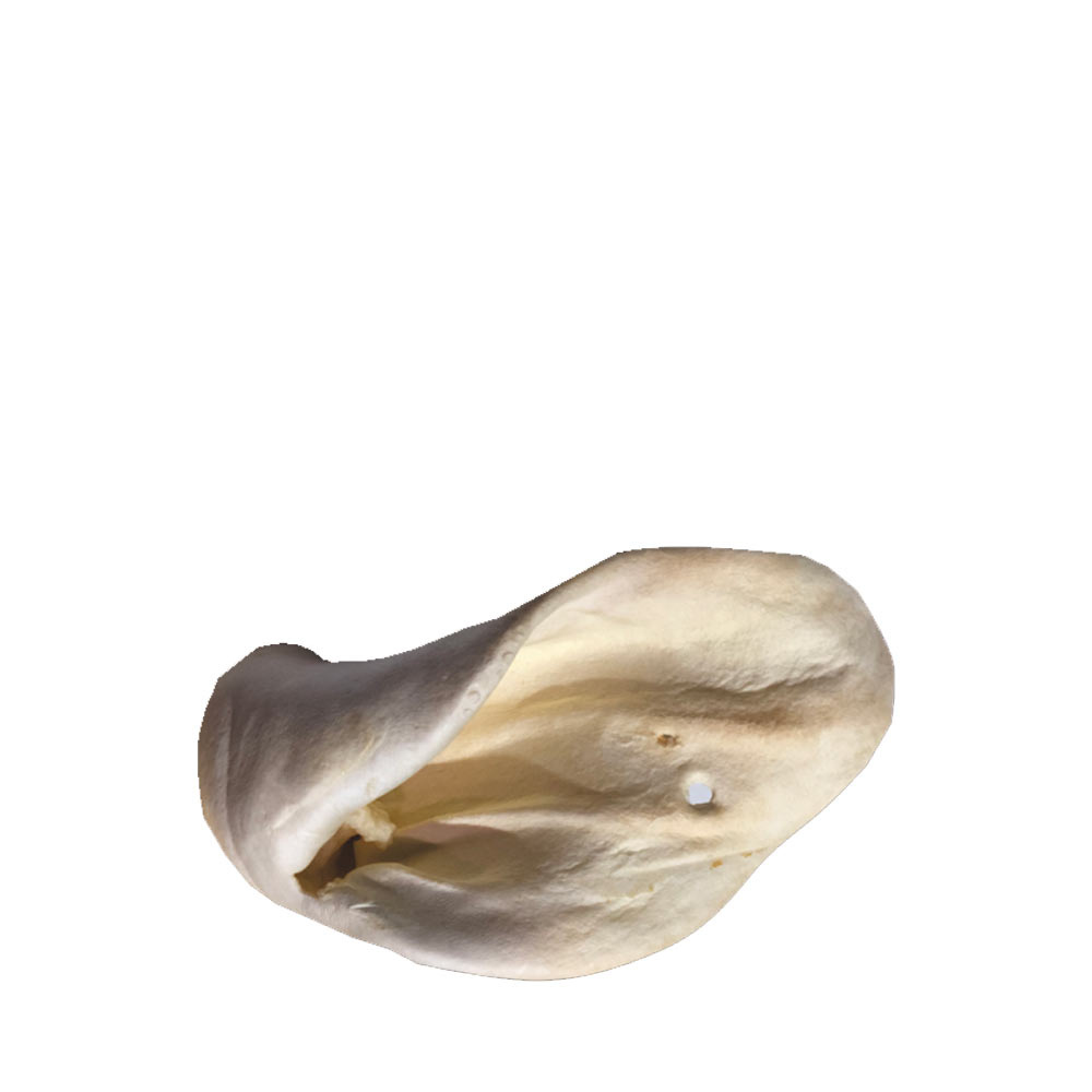 Open Range Beef Ear Large - Bones Pet Stores