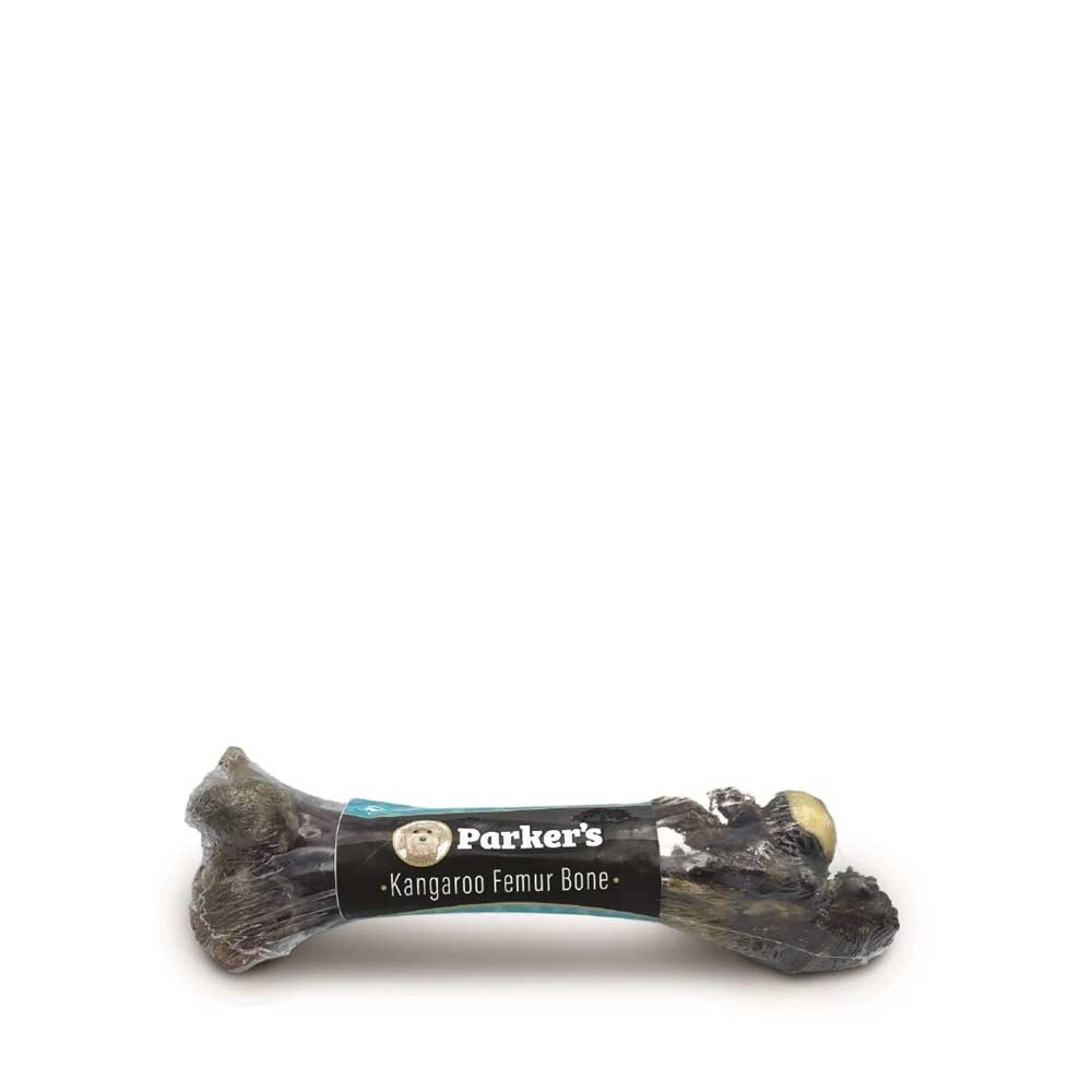 Parker Dog Kangaroo Femur Bone - Bones Pet Stores