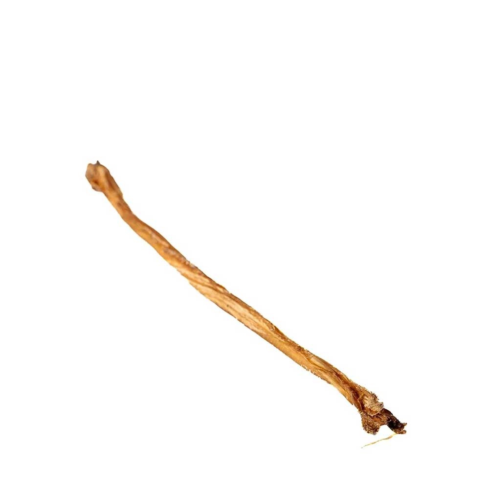 Only One Lamb Pizzle 9-14in - Bones Pet Stores