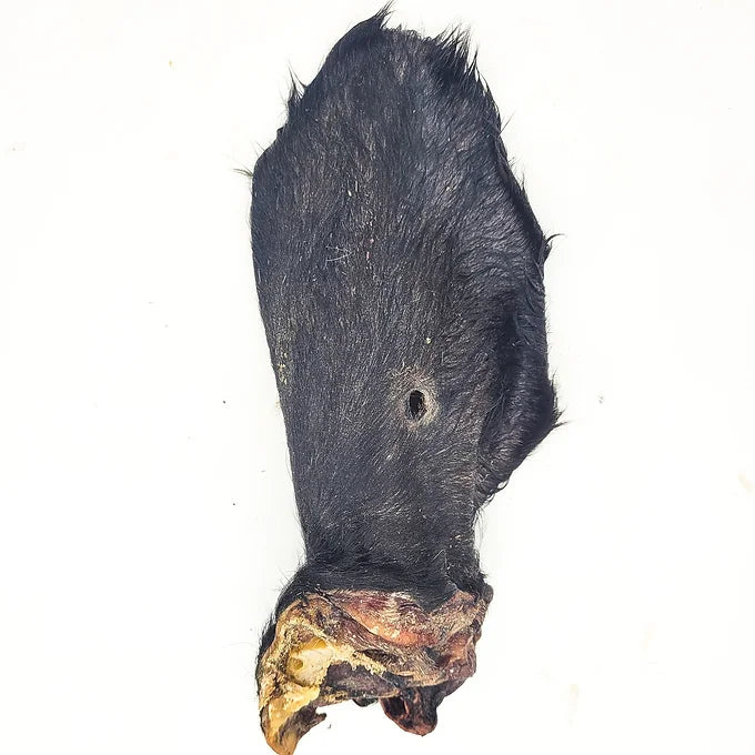 Dehydrated Cow Ear - Back To The Bone