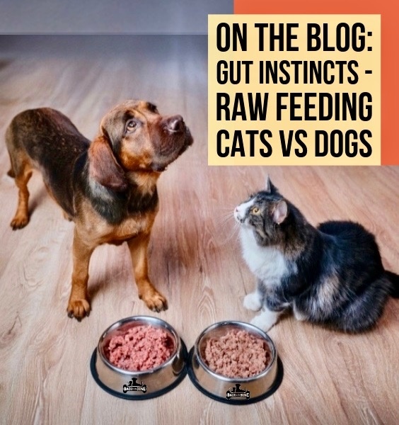 Blog - Gut Instincts: One Bowl Doesn't Fit All - Back To The Bone