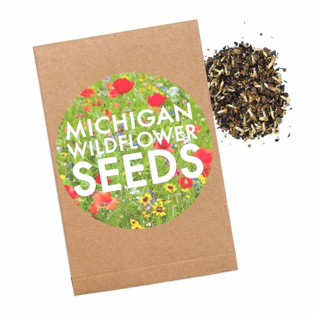 Michigan Wildflower Seed Packet - Small Favors
