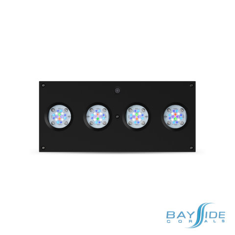 AI Hydra 64HD Black - Bayside Corals