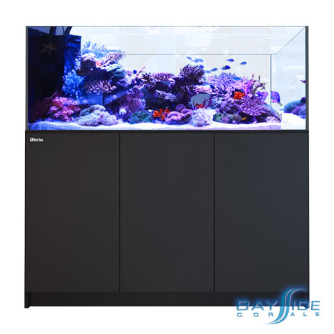 Red Sea REEFER 650 Peninsula | Black - Bayside Corals