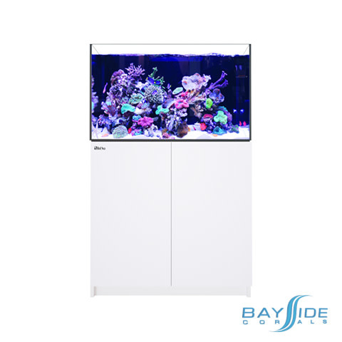 Red Sea REEFER 300 G2 | White - Bayside Corals