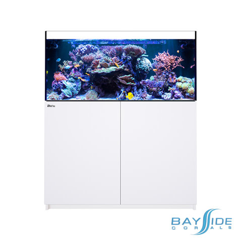Red Sea REEFER 425 G2 | White - Bayside Corals