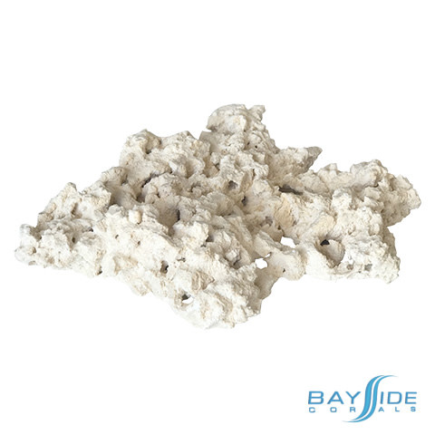 Marco Base Rock | Bulk ⅒lb - Bayside Corals