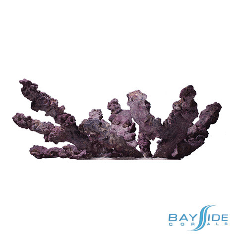 Caribsea LifeRock Branch | Box 20lbs - Bayside Corals