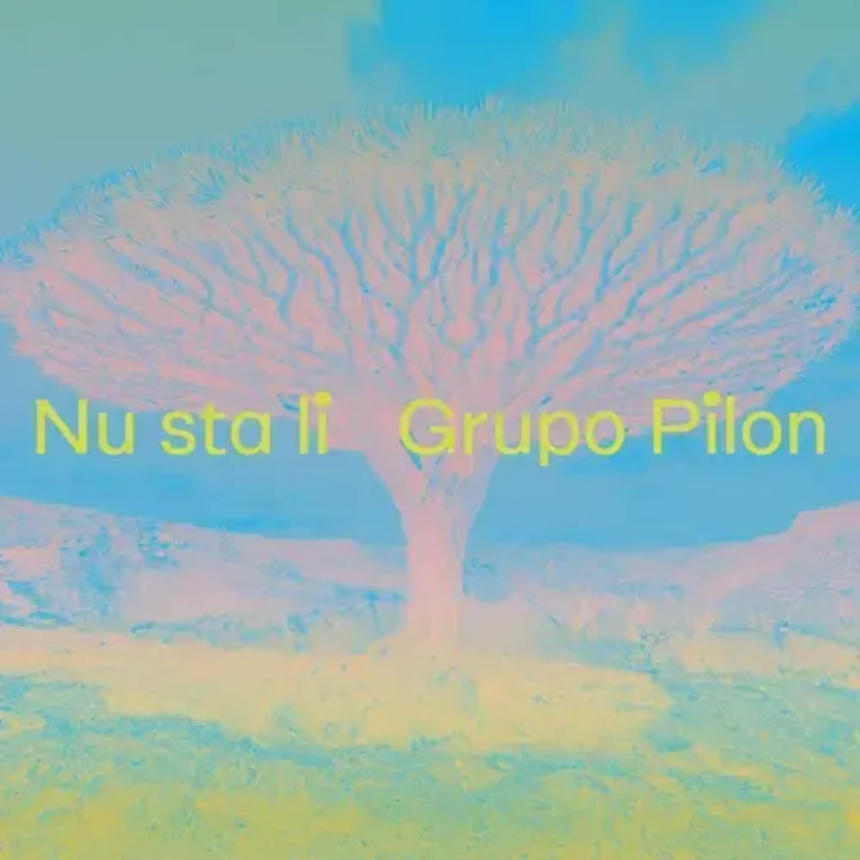 Grupo Pilon – Nu Sta Li LP (2025, El Palmas Music) - Play De Record