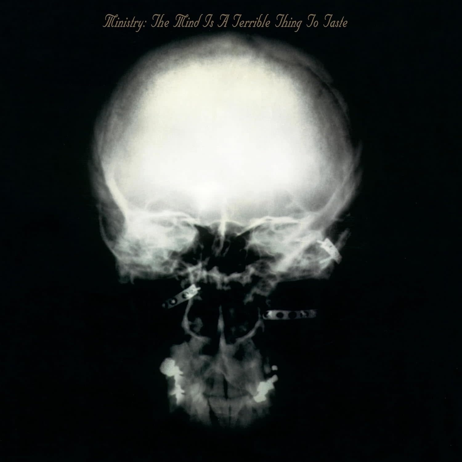Ministry – The Mind Is A Terrible Thing To Taste 2LP (2025 Reissue ...