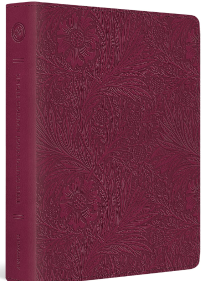 ESV Single Column Journaling Bible - The Cathedral Bookstore