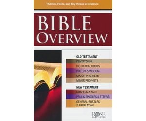 Bible Overview Pamphlet - Goodruby Christian Bookstore