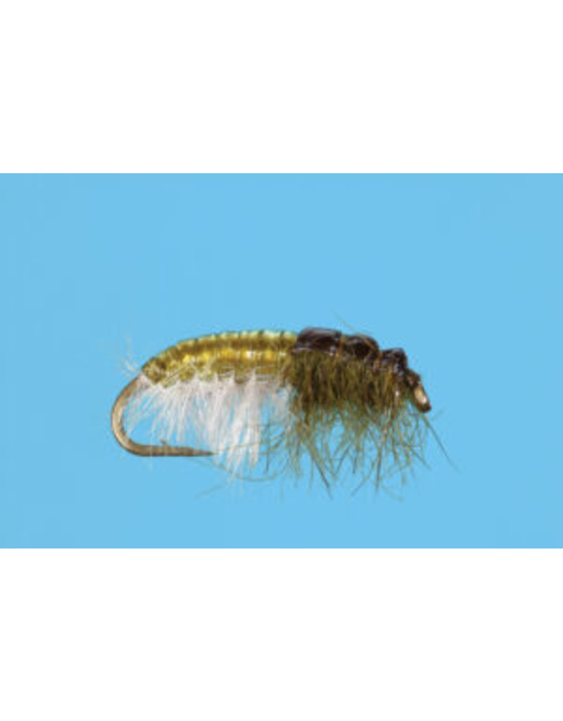 Hydropsyche Caddis Larva - Discount Fishing Tackle