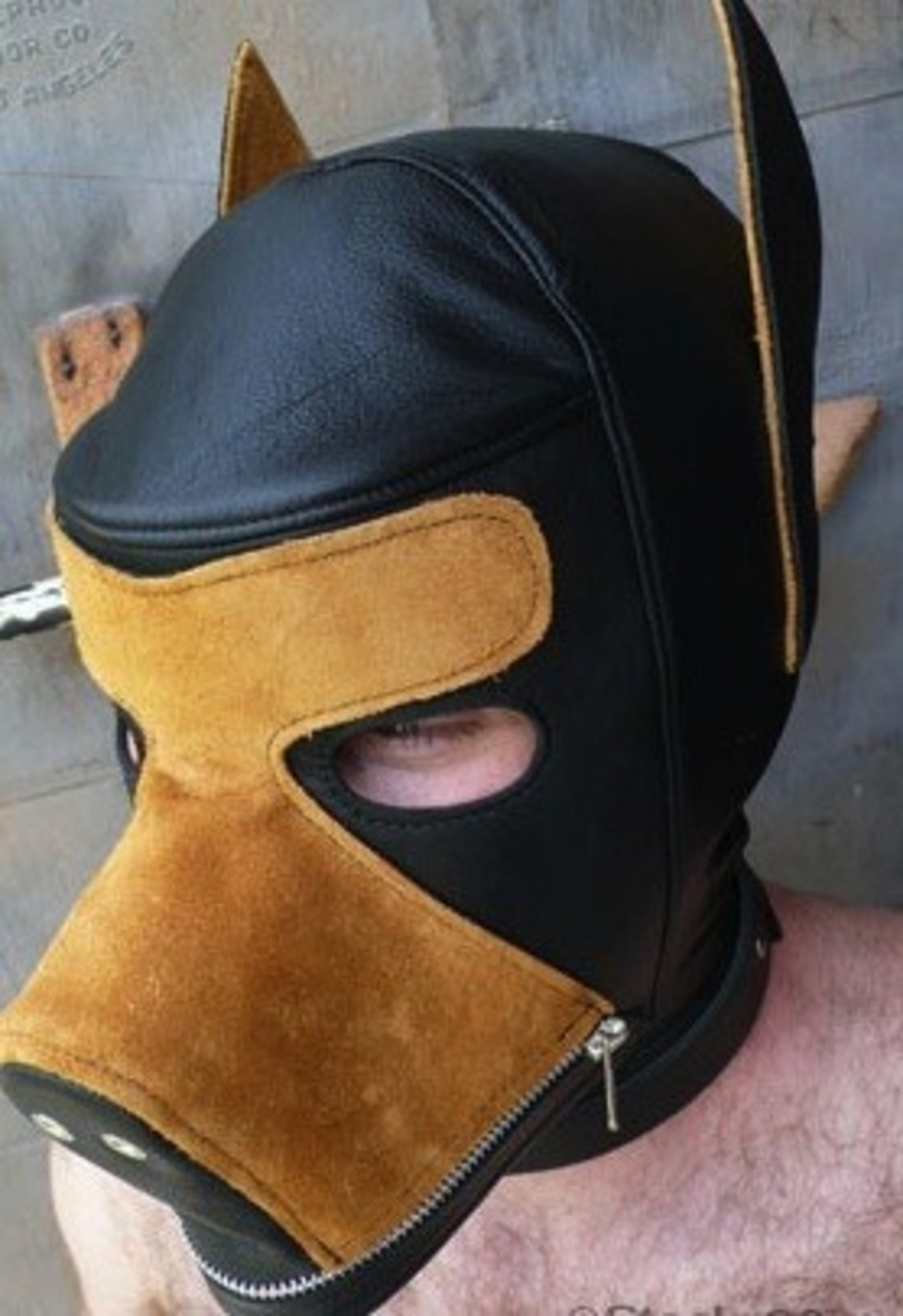 Two-Toned Dog Hood | Stockroom | Bondesque