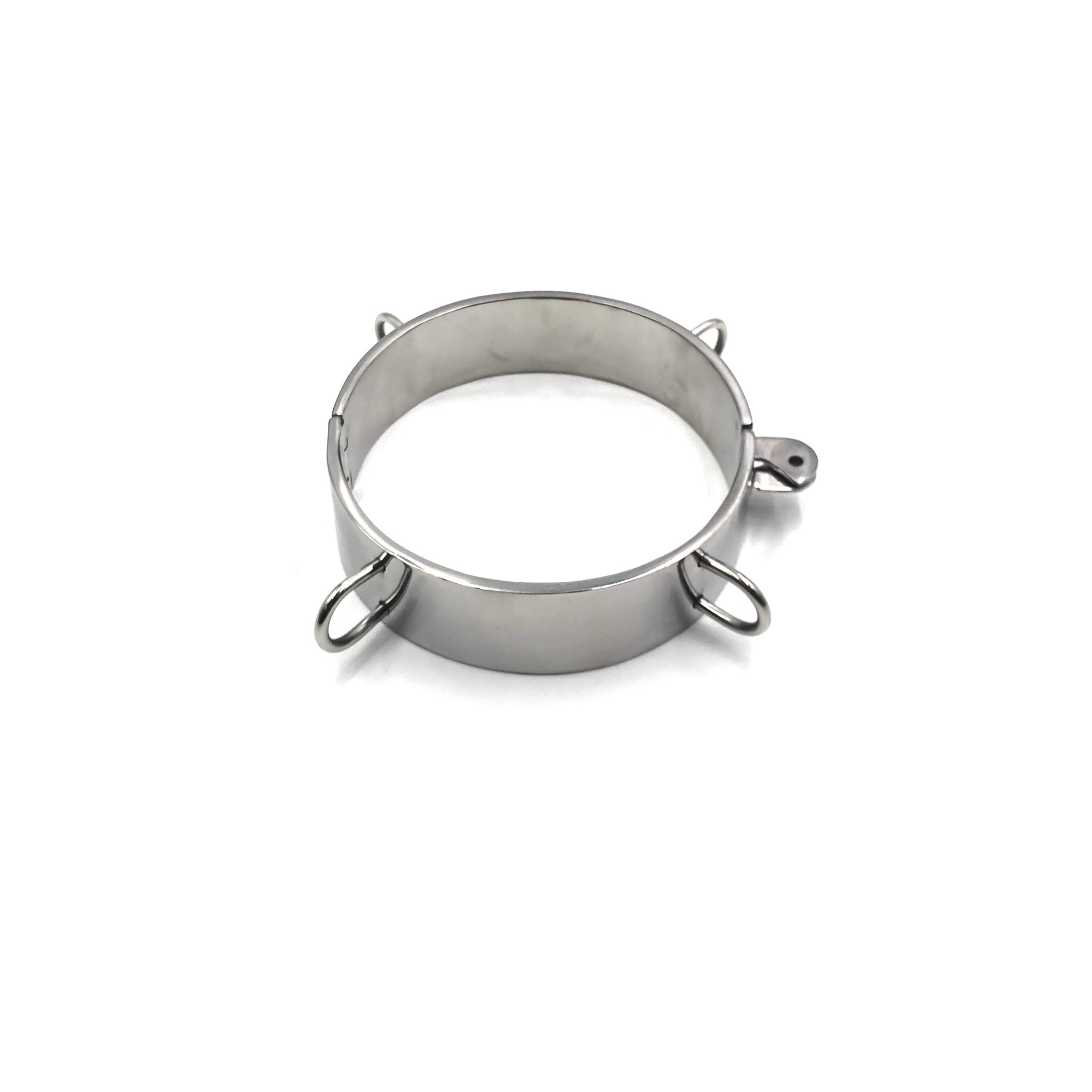 Steel Collar with D rings | Bondesque
