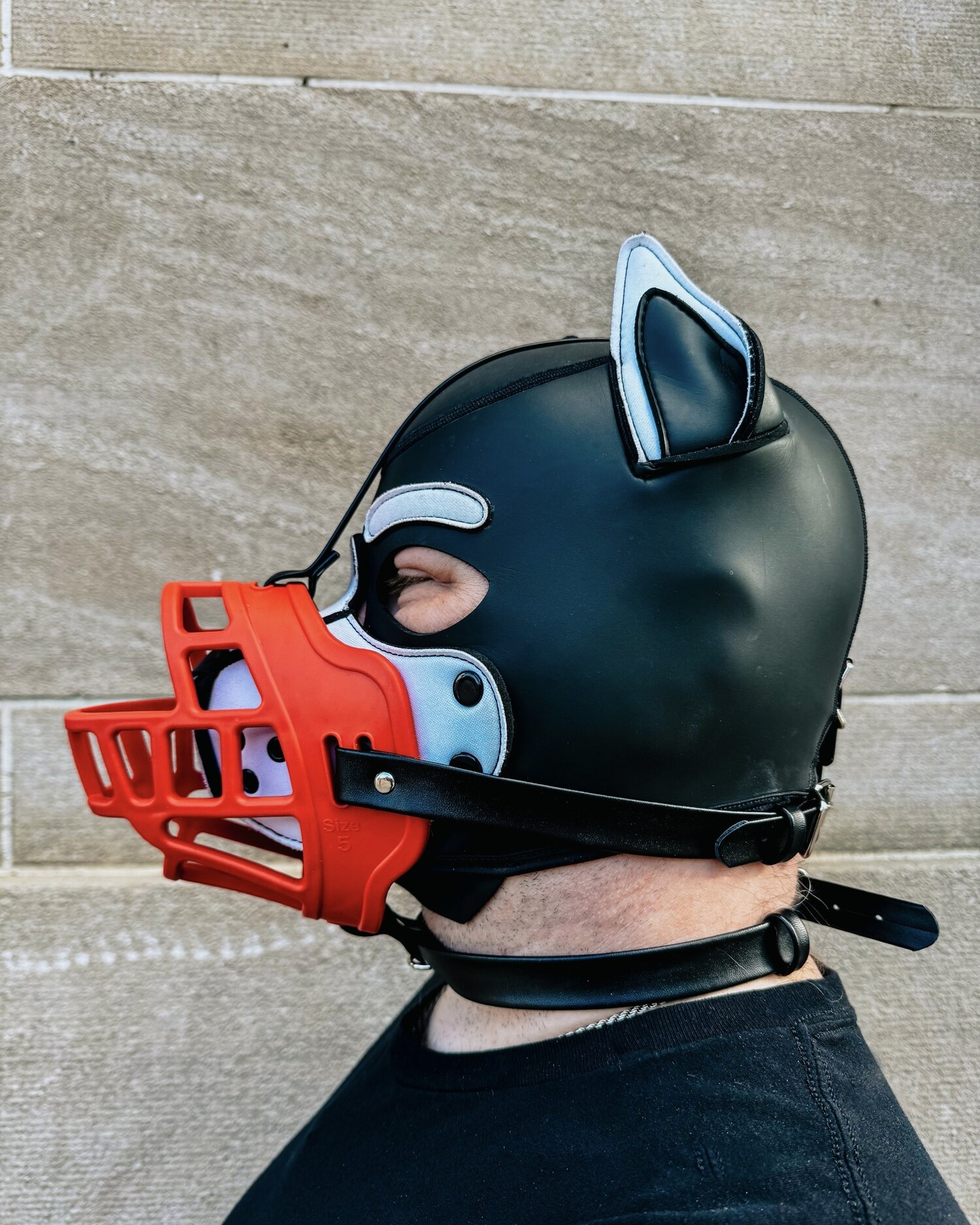 Intro to Pet play | Training Pup Muzzle | BDSM | Bondesque