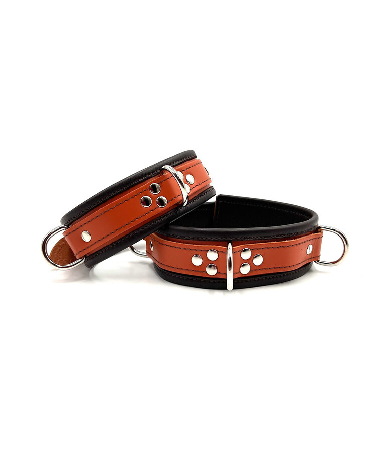 2-Tone Locking Collar D-Ring | KOOKIE INT'L | BDSM Gear | Bondesque