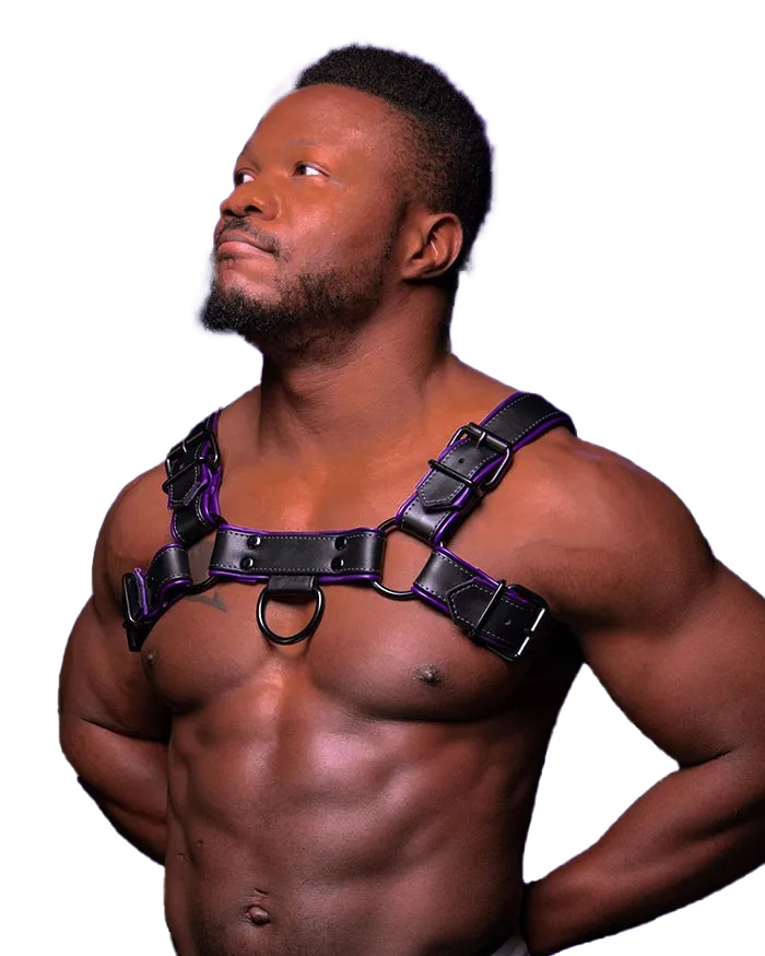 Hardline Bulldog Chest Harness | Men's Fetish Fashion | Mr. S Leather ...