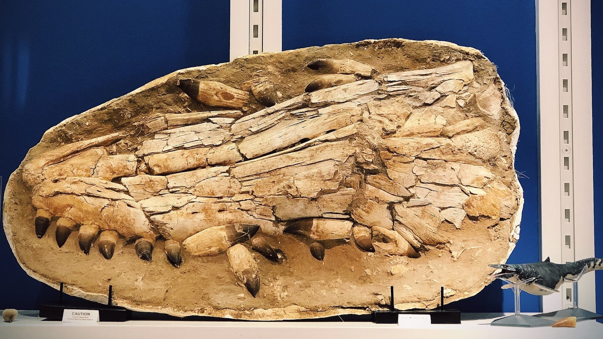 Mineralogy - Mineralogy