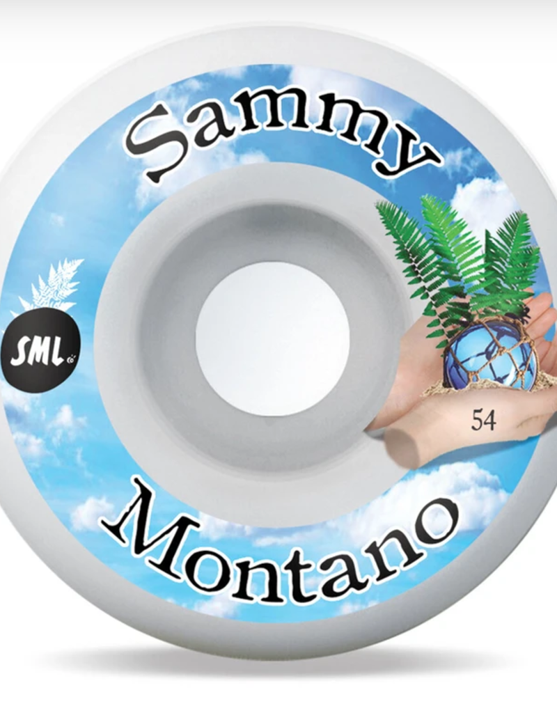 SML Wheel - The Circle & The Circle Kids Whistler