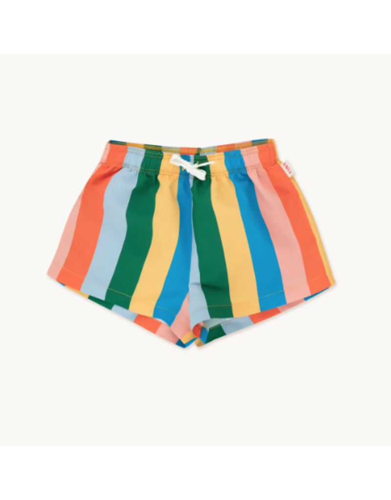 Multi Colour Stripes Trunks - The Circle & The Circle Kids