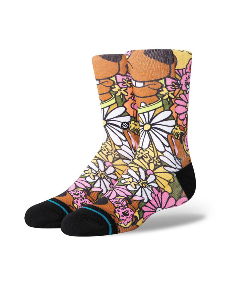 Stance Kids' Snakin' Scoobs Tomboy Crew Socks - The Circle & The Circle ...
