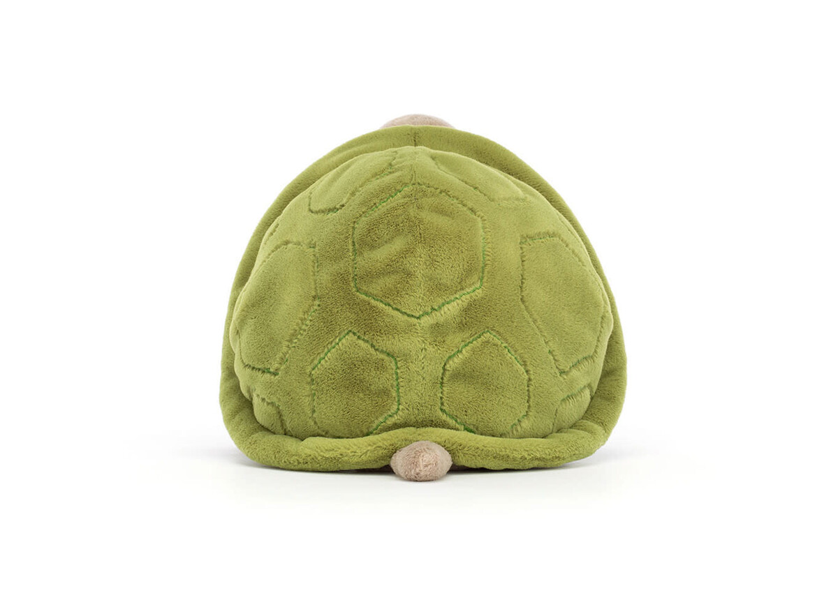 Timmy Turtle - The Circle & The Circle Kids Whistler